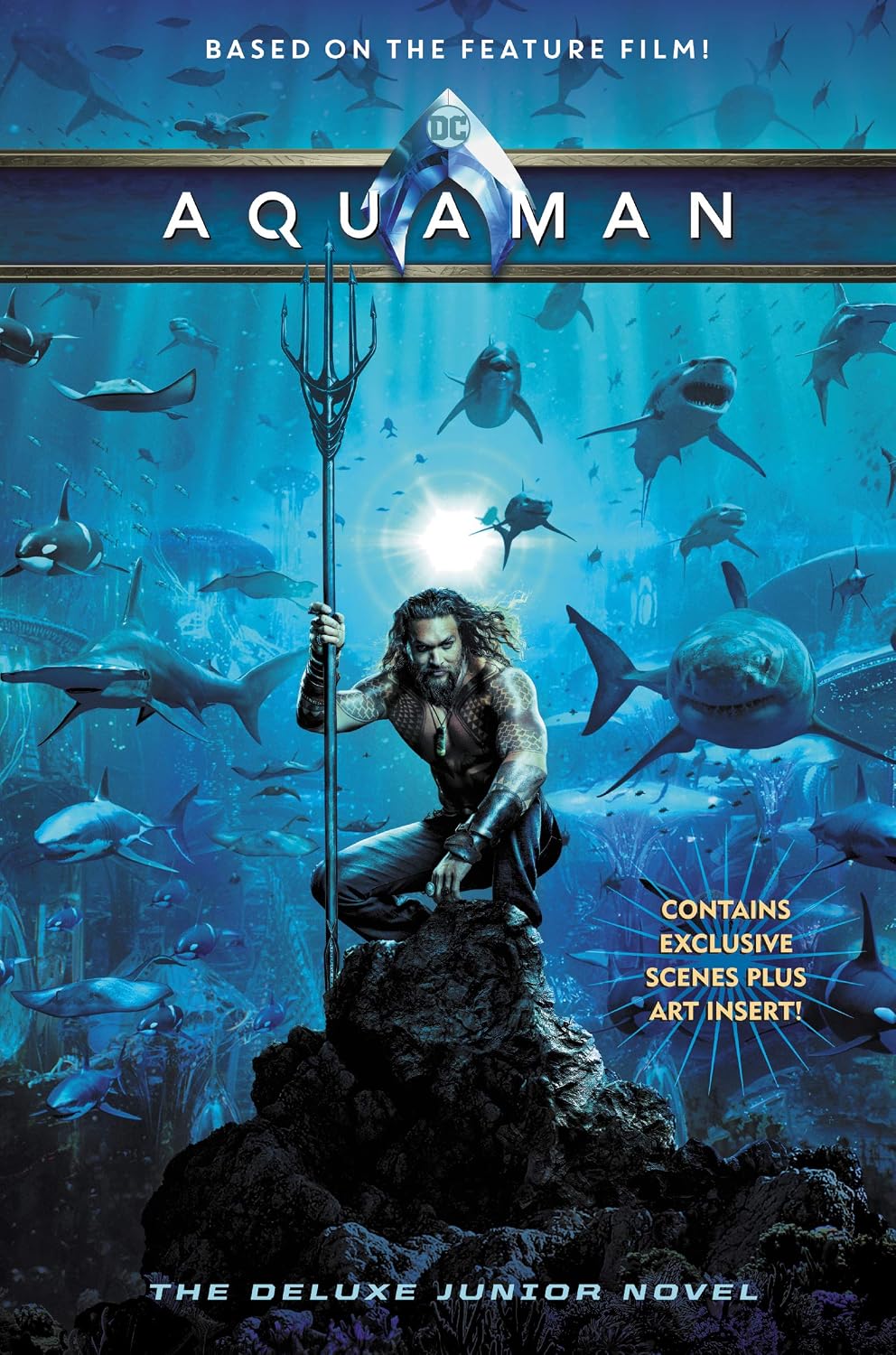 Amazon.com: Aquaman: The Deluxe Junior Novel: 9780062889072: McCann ...