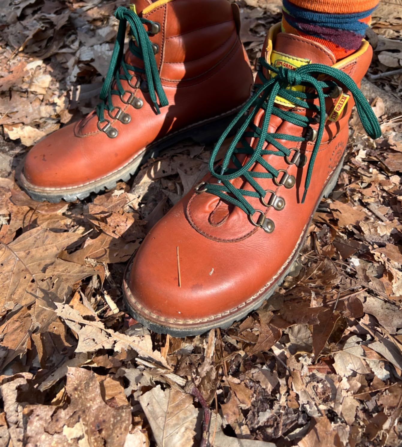 Amazon.com | Jim Green Men's Razorback Boots Lace-Up Water Resistant ...