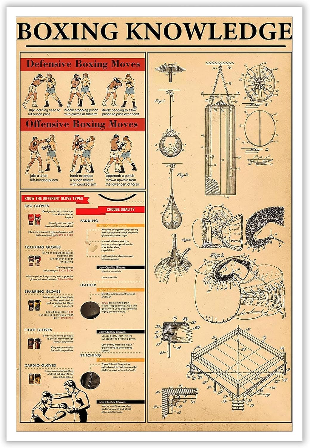 Amazon.com: Vintage Boxing Knowledge Wall Art Retro Boxe Action Guide ...