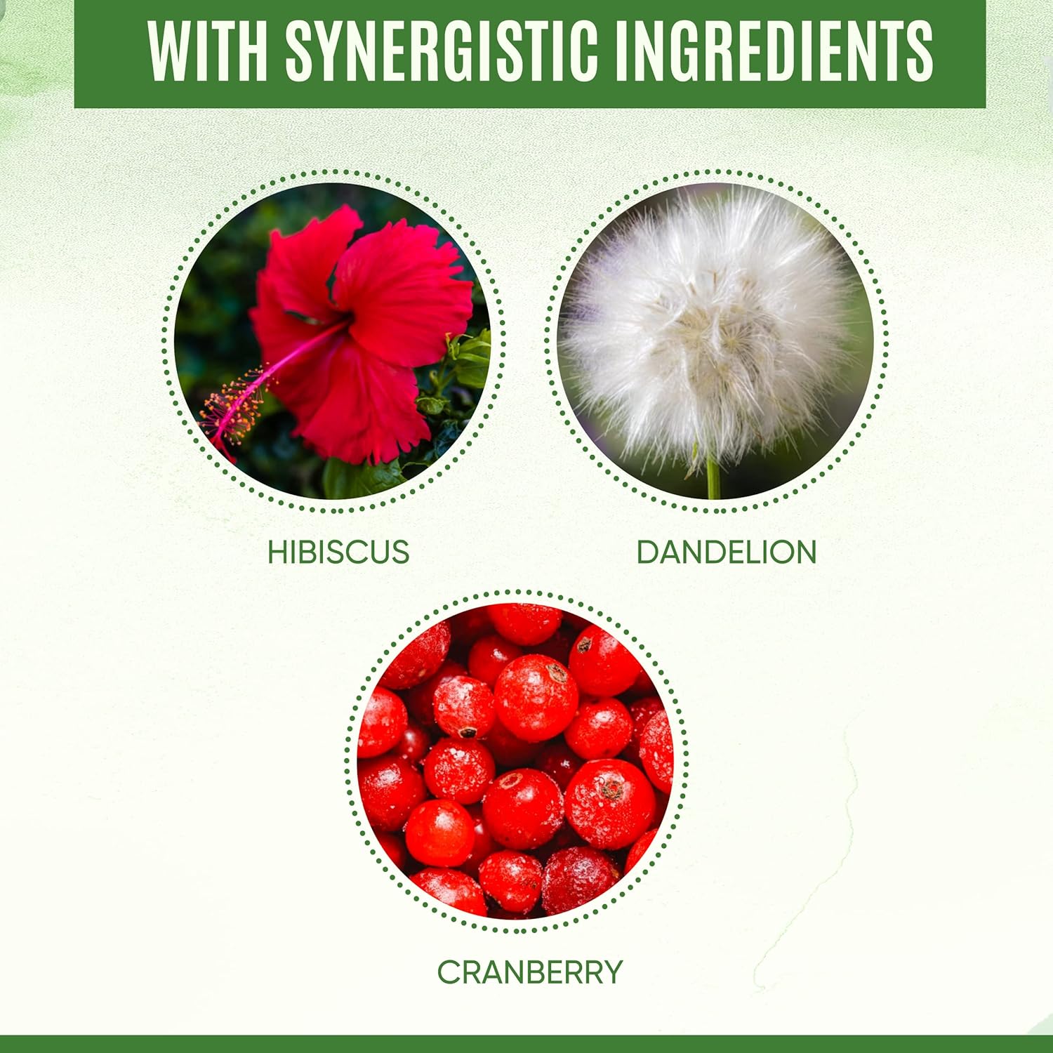 Cápsulas de D-manosa 100% pura de 1000 mg con extracto de arándano ...