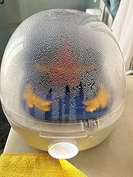 Amazon.com: INNOPAW Automatic Cap Cleaner with steam and Dry,steam ...