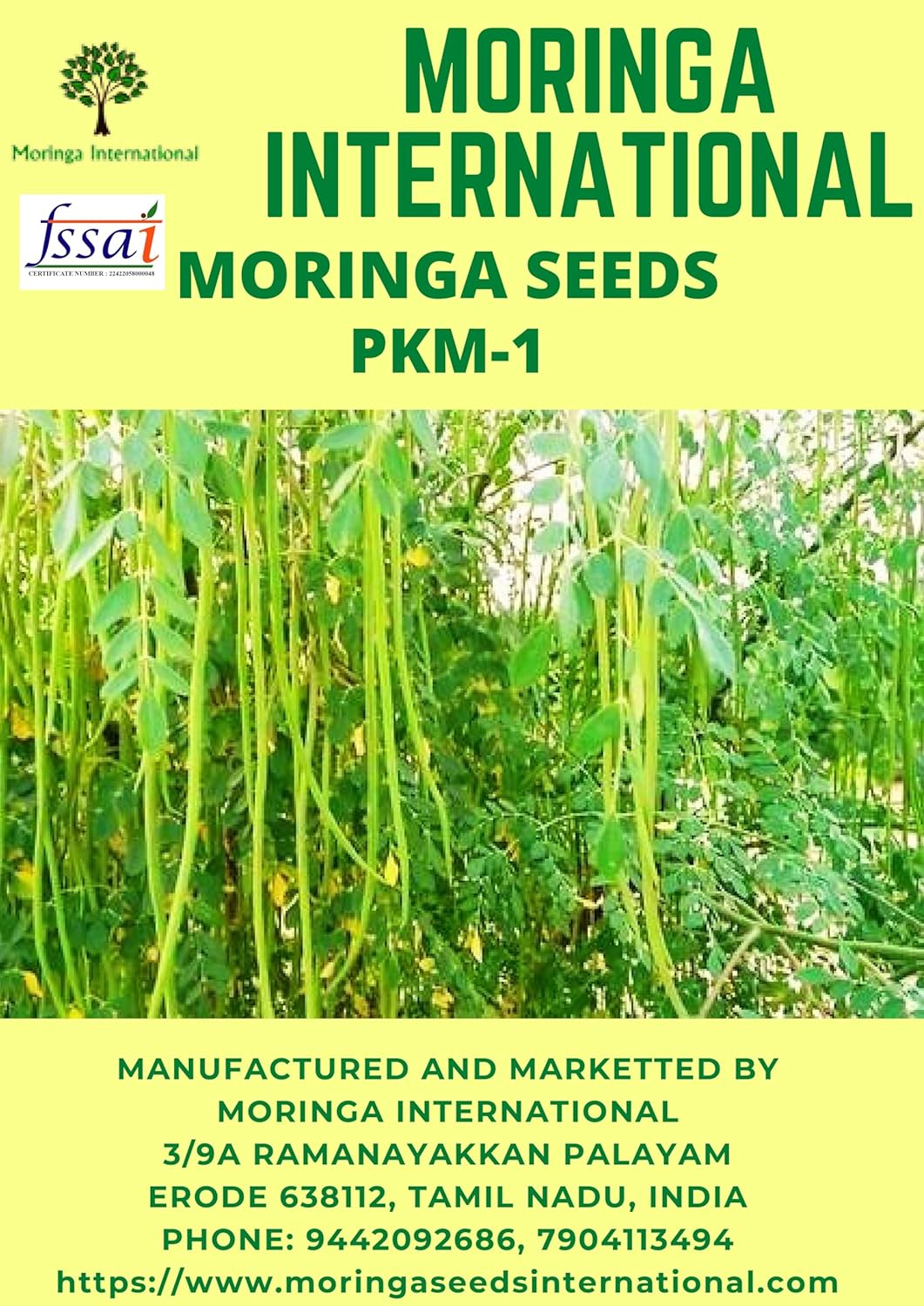 MORINGA SEEDS PKM1-5KG PACK - (5000 GRAMS) | MORINGA INTERNATIONAL (15 ...