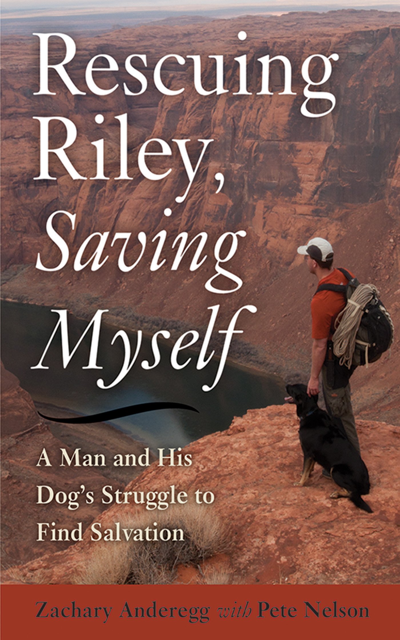 Rescuing Riley, Saving Myself: A Man and His Dog's Struggle to Find ...