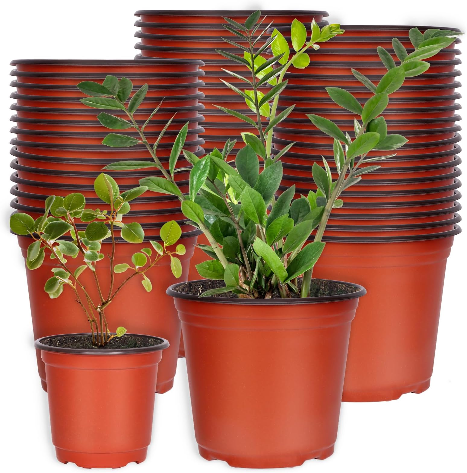 Amazon.com: Lorpect 100 pcs 4-inch plastic plant nursery pots, reusable ...
