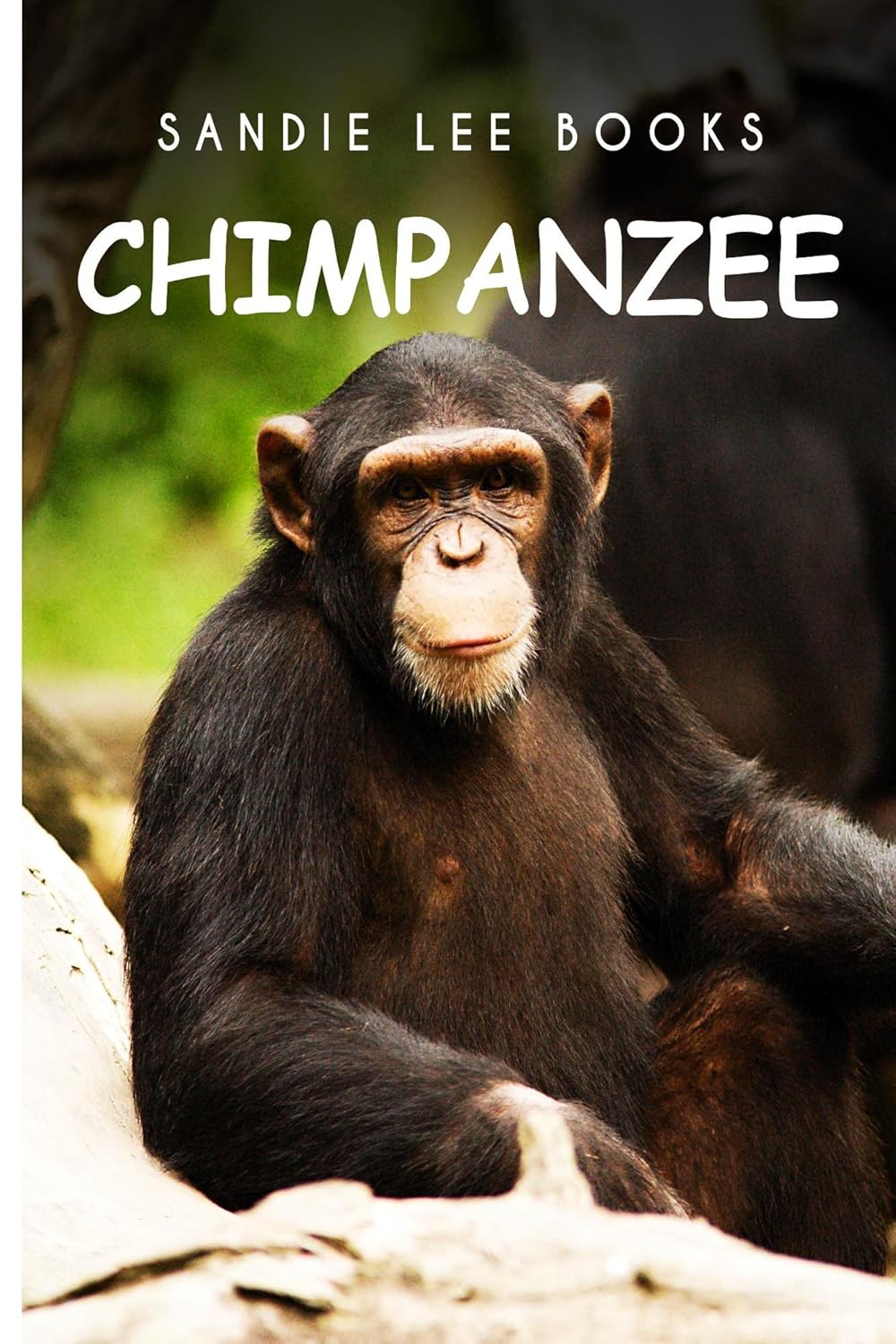 Amazon.com: Chimpanzee - Sandie Lee Books (children's animal books age ...