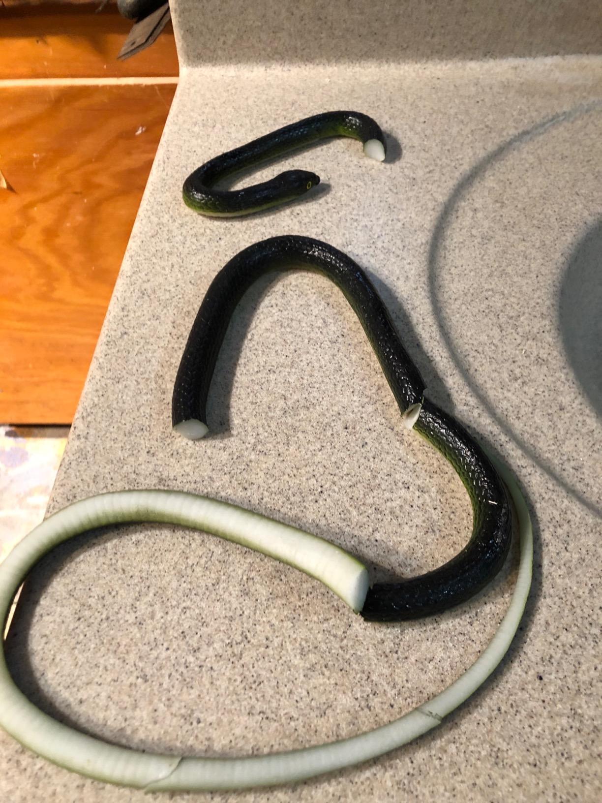 Amazon.com: SAVITA 3 Pcs Realistic Rubber Snakes 2 Sizes Fake Snakes ...