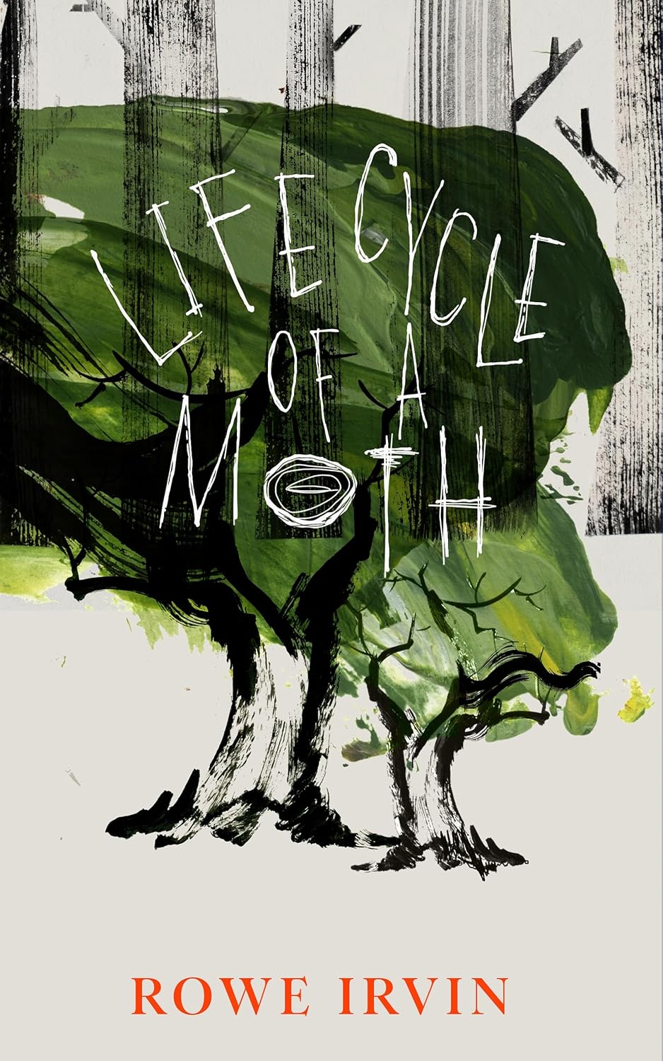 Life Cycle of a Moth: Amazon.co.uk: Irvin, Rowe: 9781837262458: Books