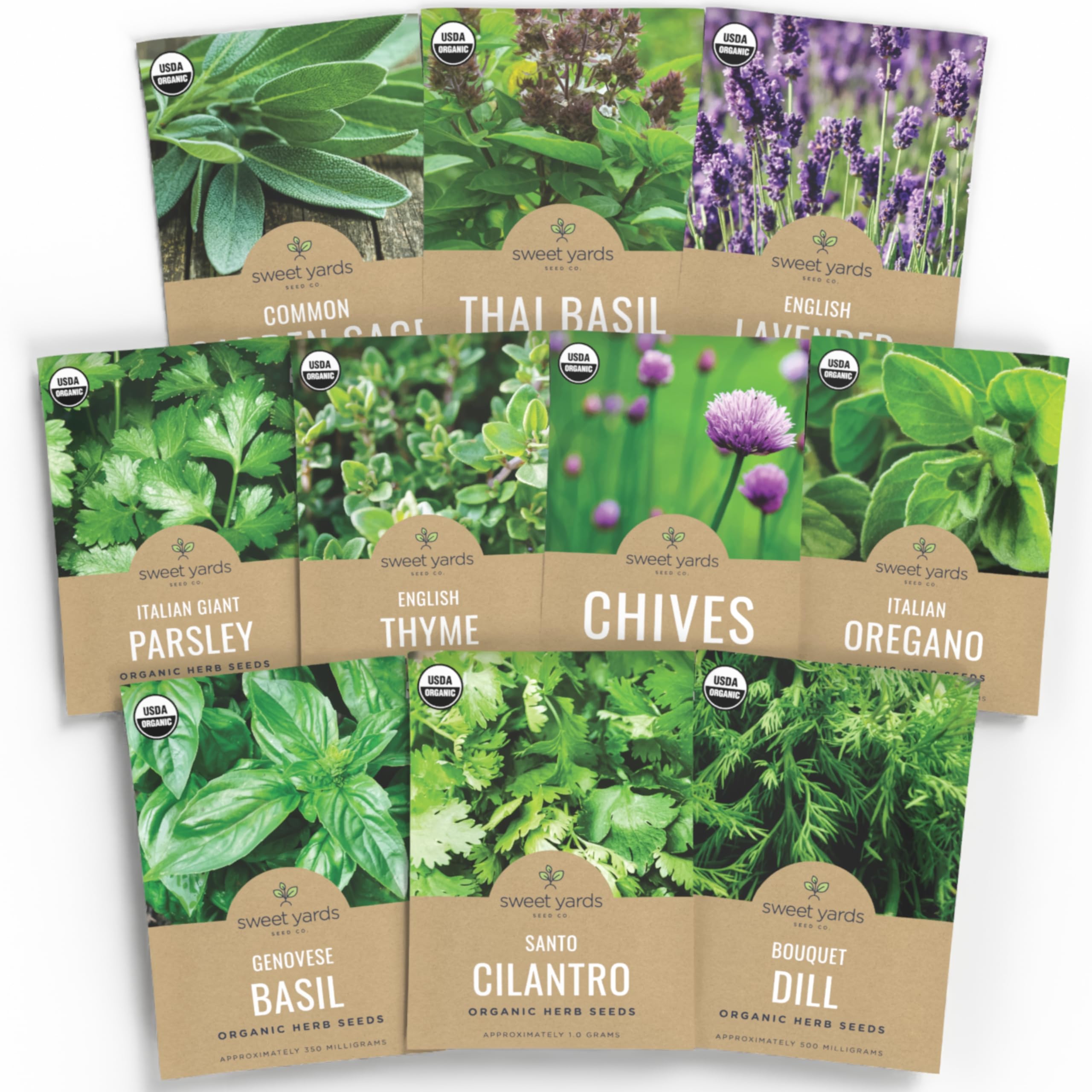 Amazon.com : Organic Herb Seeds Variety Pack - 10 Individual Packs ...