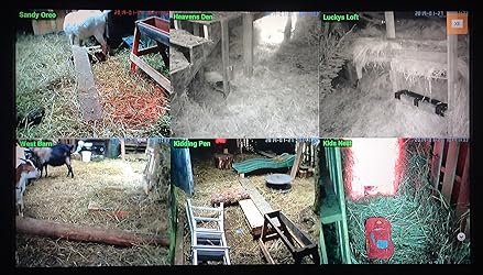 IP Cam Viewer Full - App on Amazon Appstore