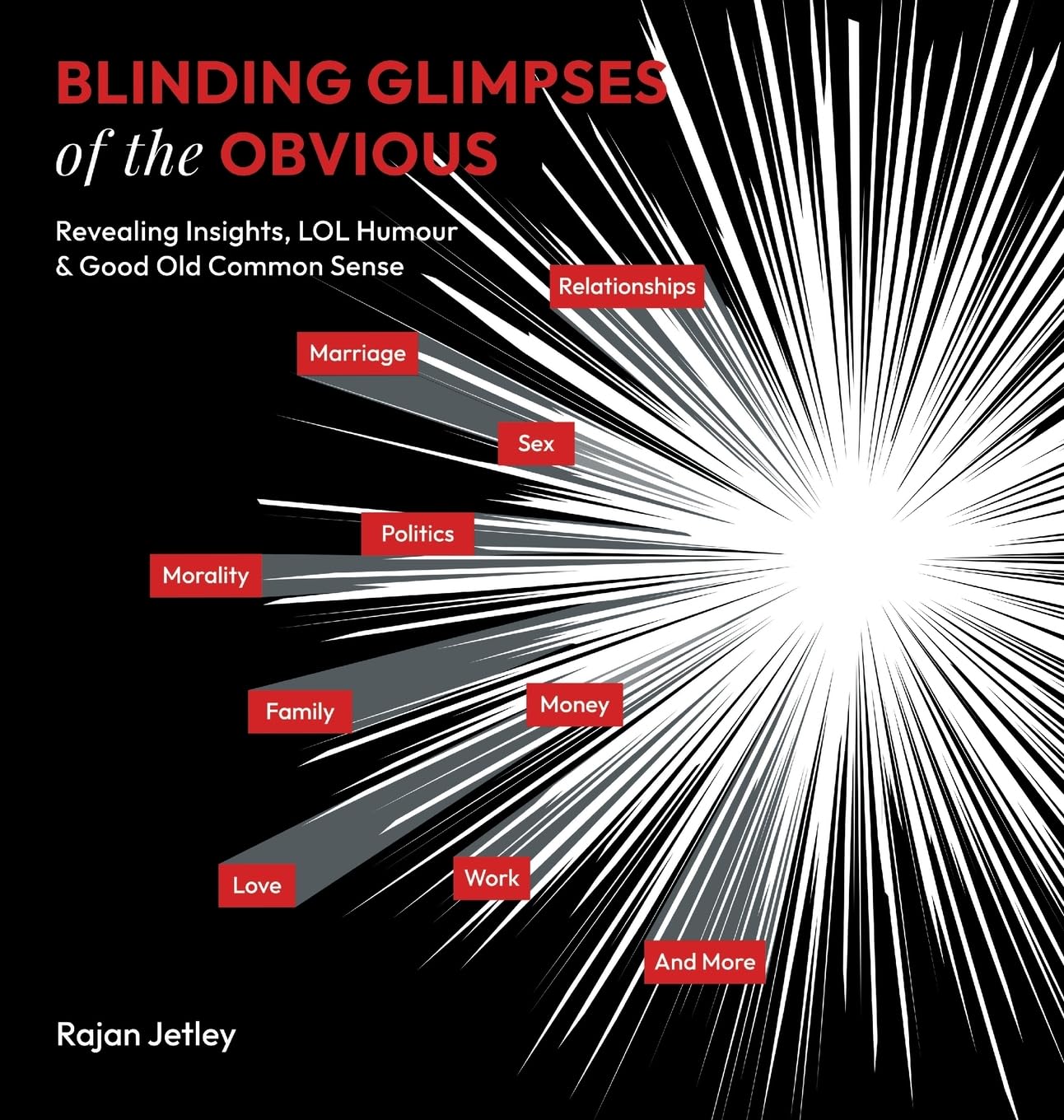 Blinding Glimpses of the Obvious: Revealing Insights, Lol Humour & Good ...