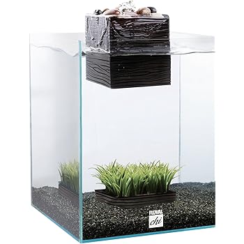 Fluval Chi Aquarium 19L: Amazon.co.uk: Pet Supplies