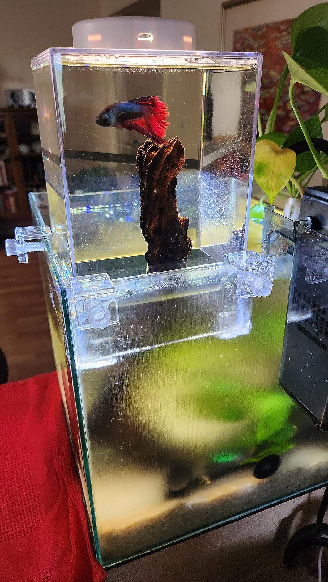 $4/mo - Finance TREELF Complete Set of Negative Pressure Fish Tank ...