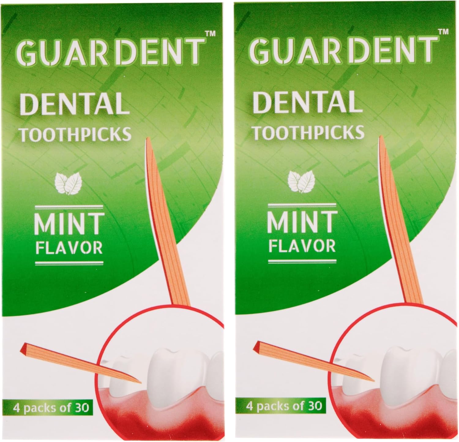 Guardent Dental Toothpicks and Biodegradable Woodsticks Plaque Remover ...