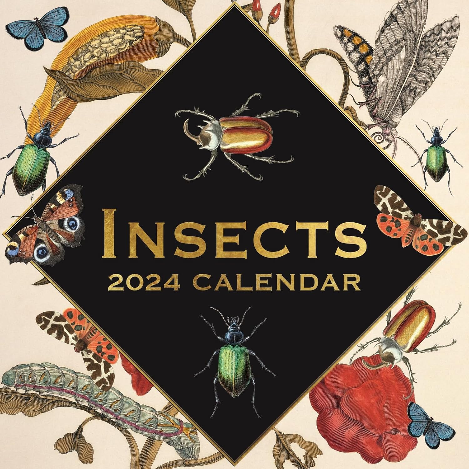 Amazon.com: 2024 Square Wall Calendar, Insect, 16-Month Arts & Antiques ...