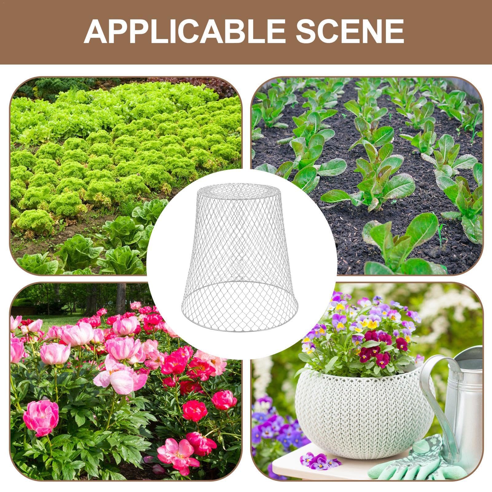 Garden Cloche Plant Covers Outside Garden Cloche Hoops Large Plant