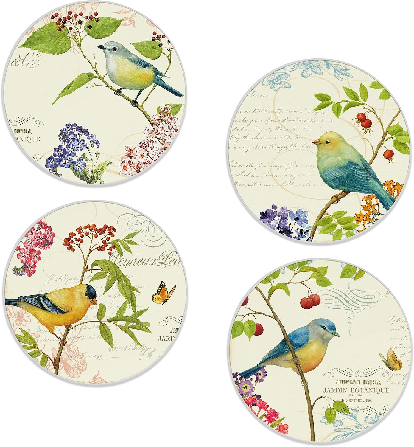 Amazon.com | Coasters for Drinks, Bird and Butterfly Vintage Absorbent ...