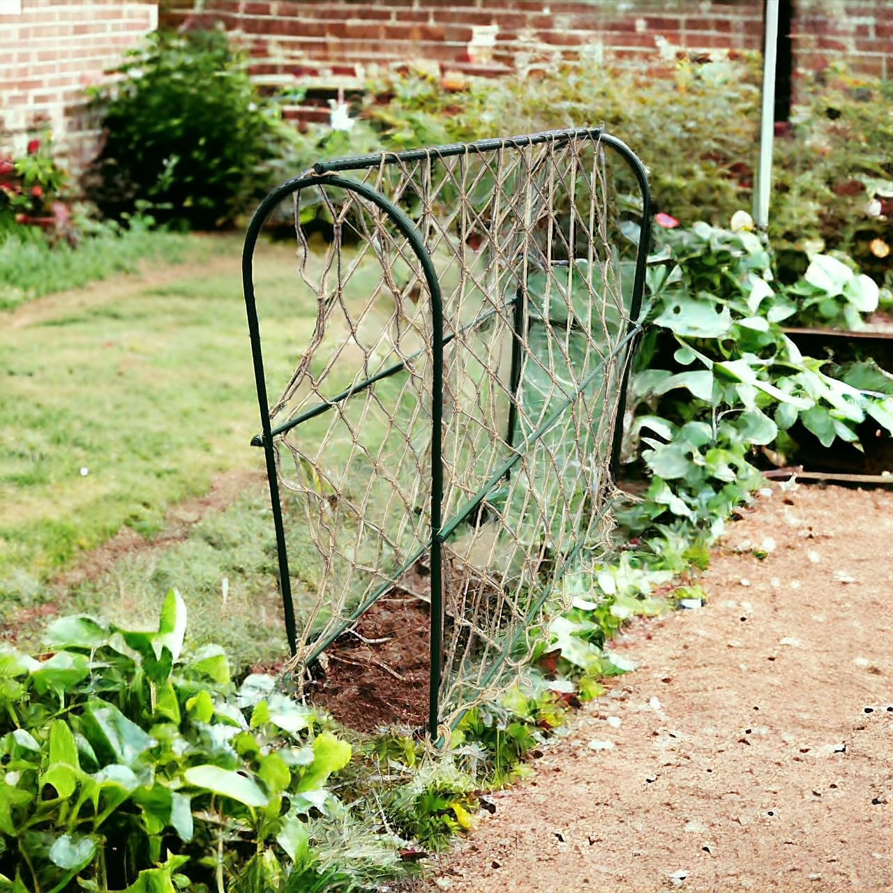 GardenSkill Garden Pea Frame Kit - Complete Support Trellis with ...