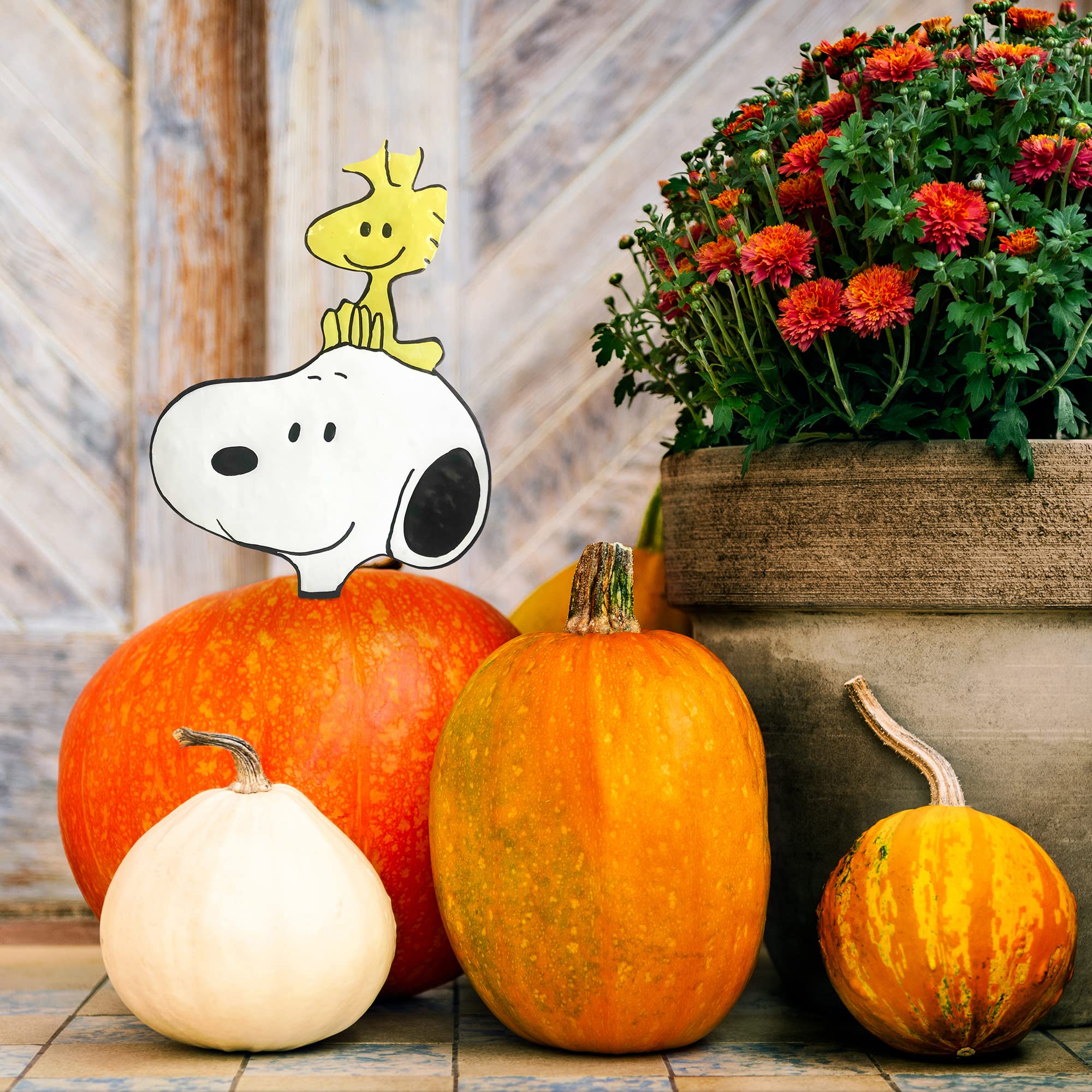 Amazon.com: Peanuts Pumpkin Press-in Icon Outdoor Garden Stake (Snoopy ...