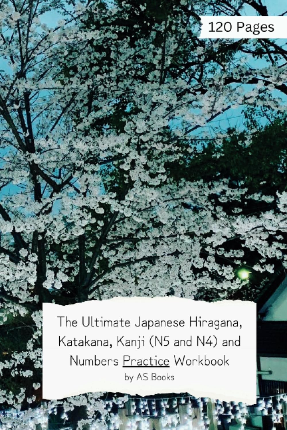 The Ultimate Japanese Hiragana, Katakana, Kanji (N5 and N4) and Numbers ...