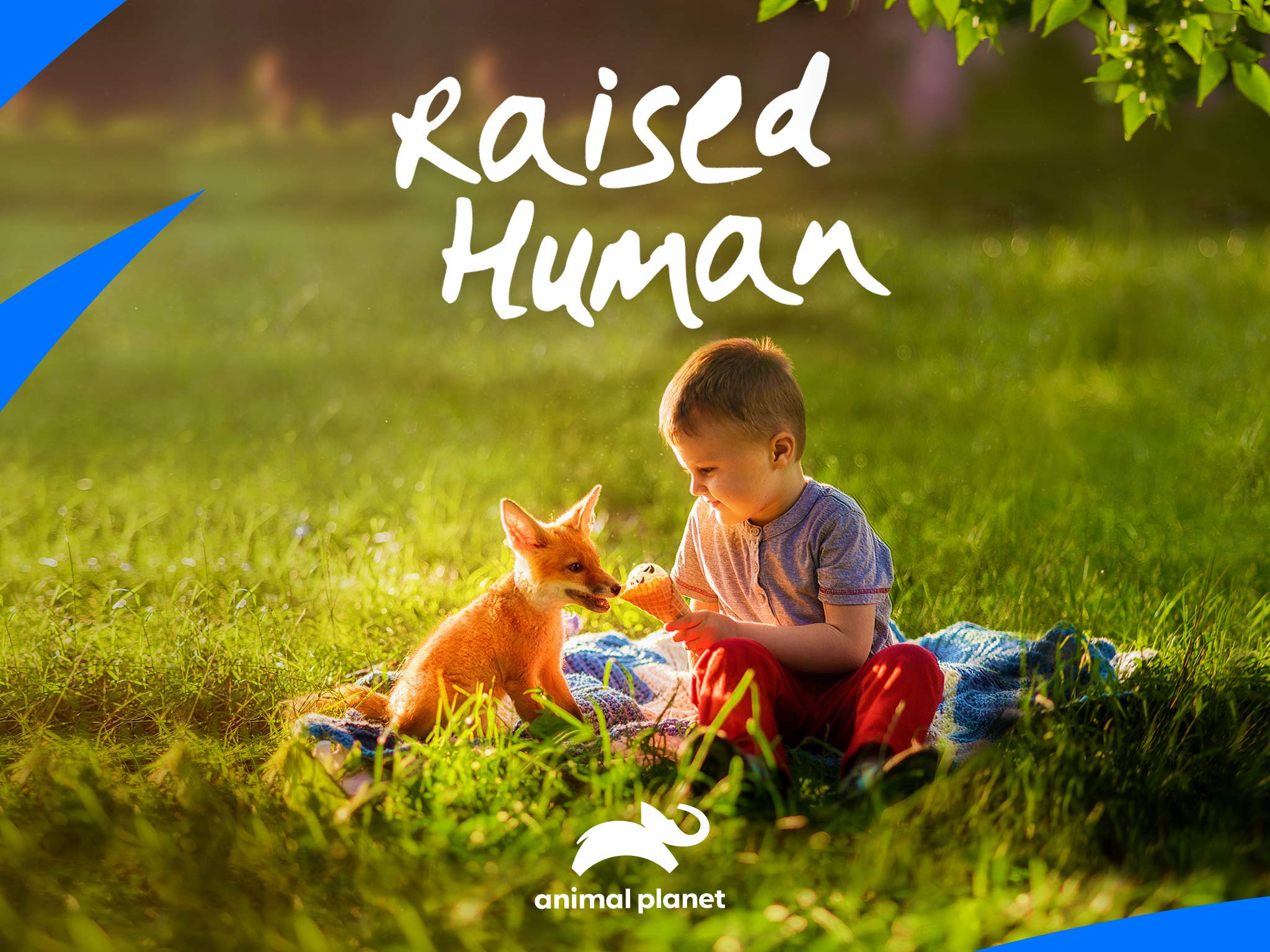 Watch Raised Human Season 2 | Prime Video