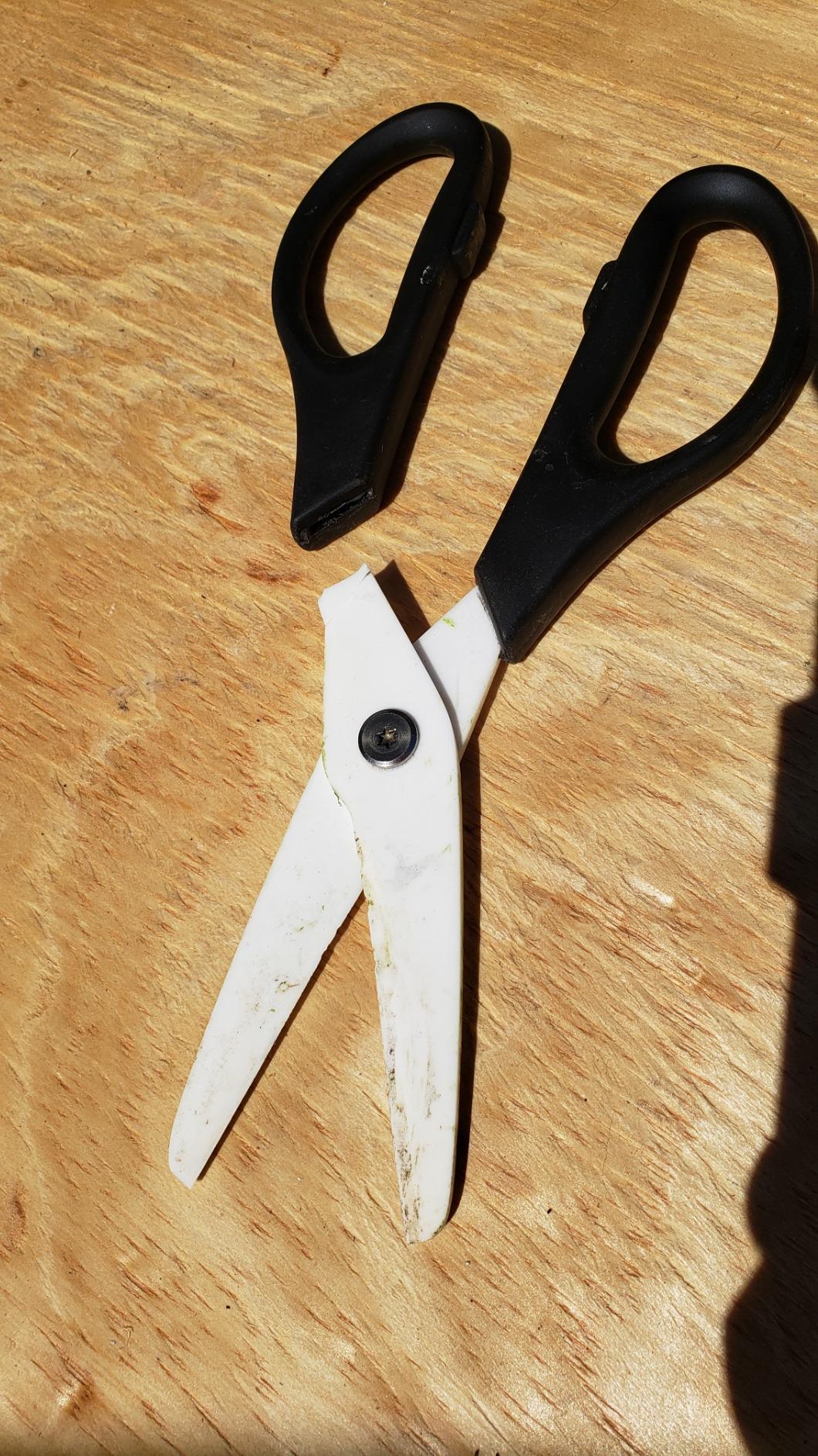 Amazon.com: MOJO-HOME Ceramic Scissors Kitchen Utility Office Classroom ...