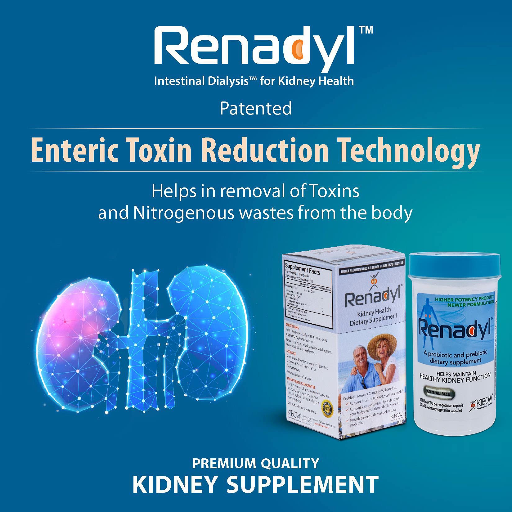 Snapklik.com : Renadyl Kidney Probiotic Supplement Urea, Creatinine ...