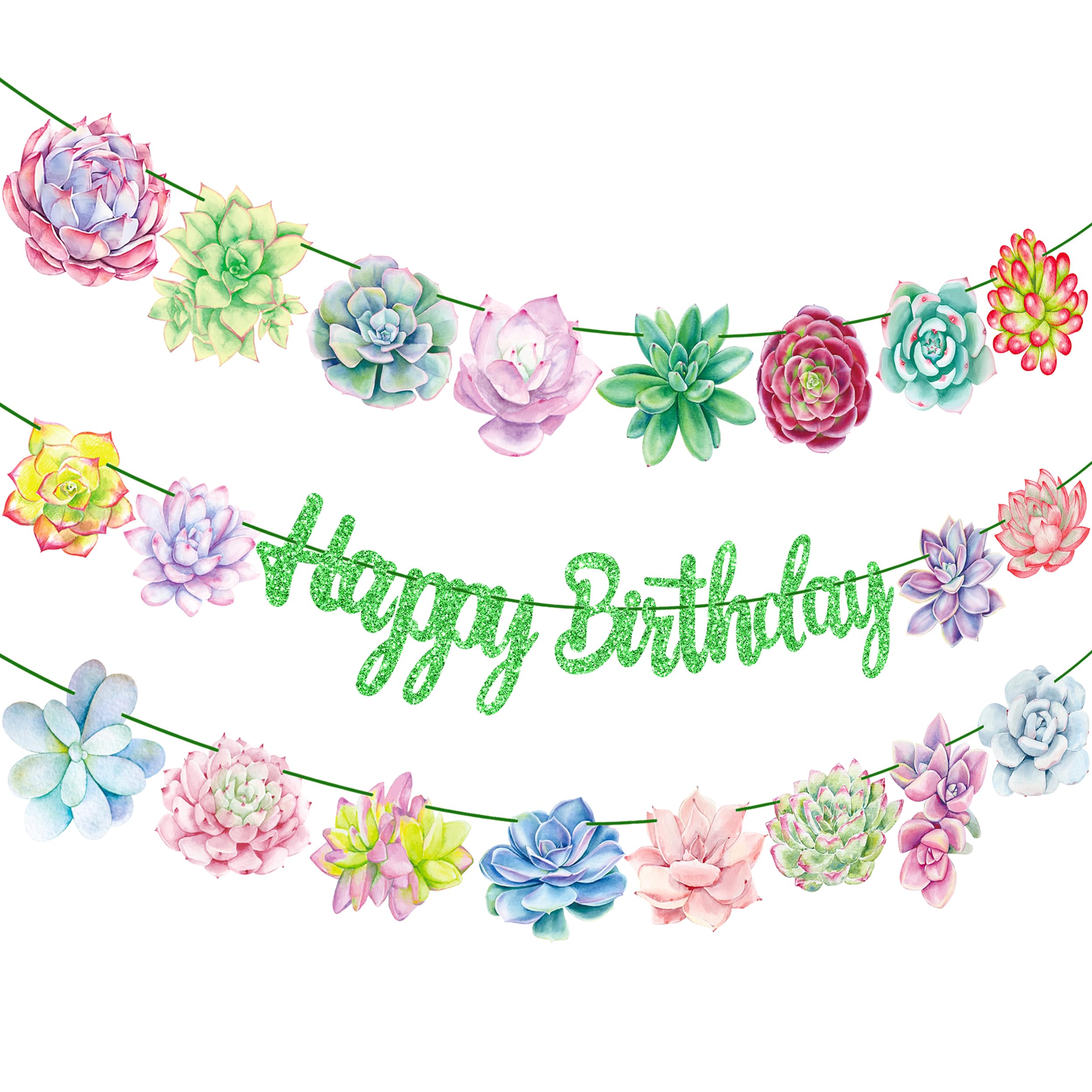 Amazon.com: Succulent Birthday Party Decorations Green Succulent Happy ...