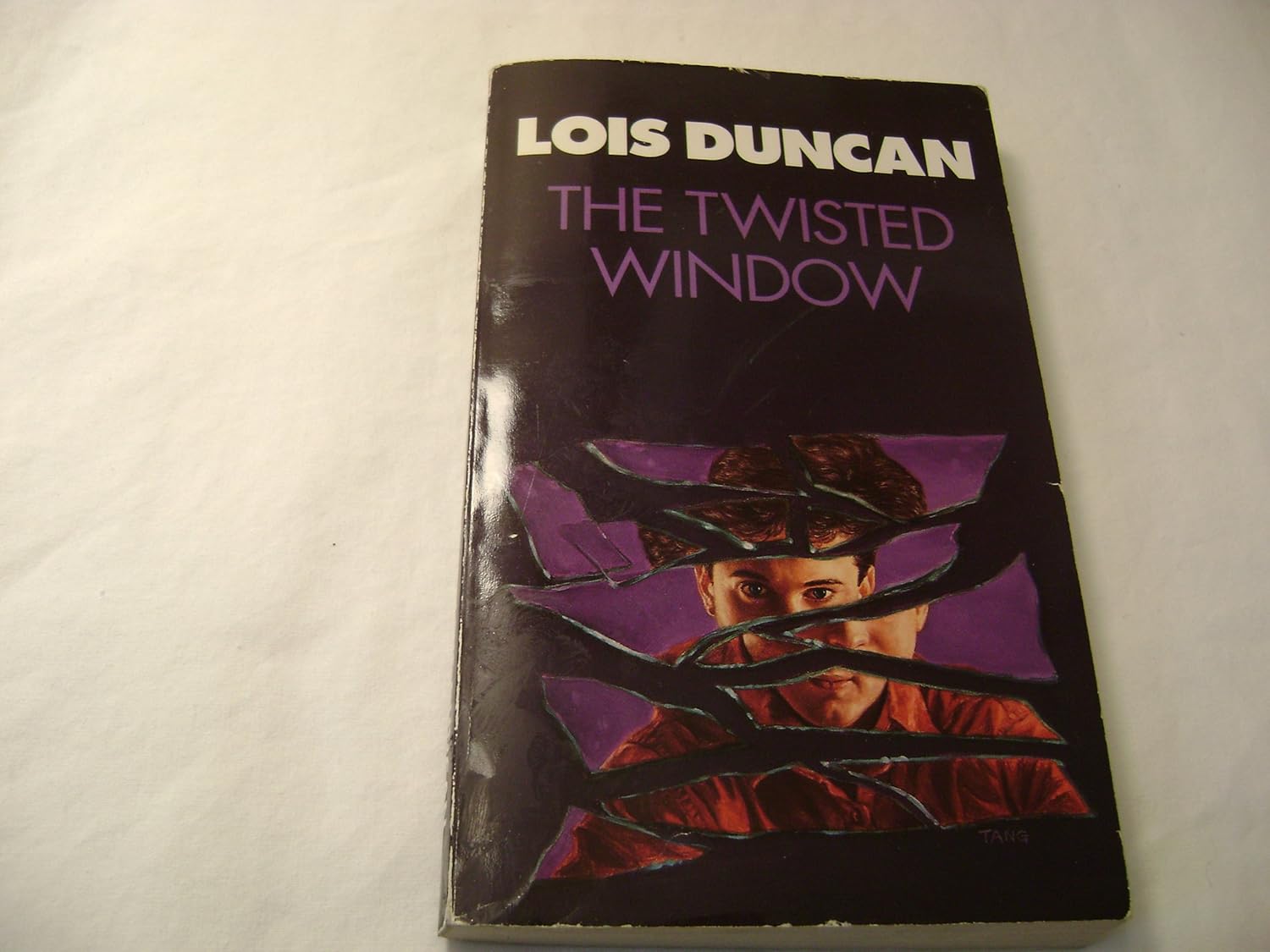 The Twisted Window: Lois Duncan: 9780440802488: Amazon.com: Books