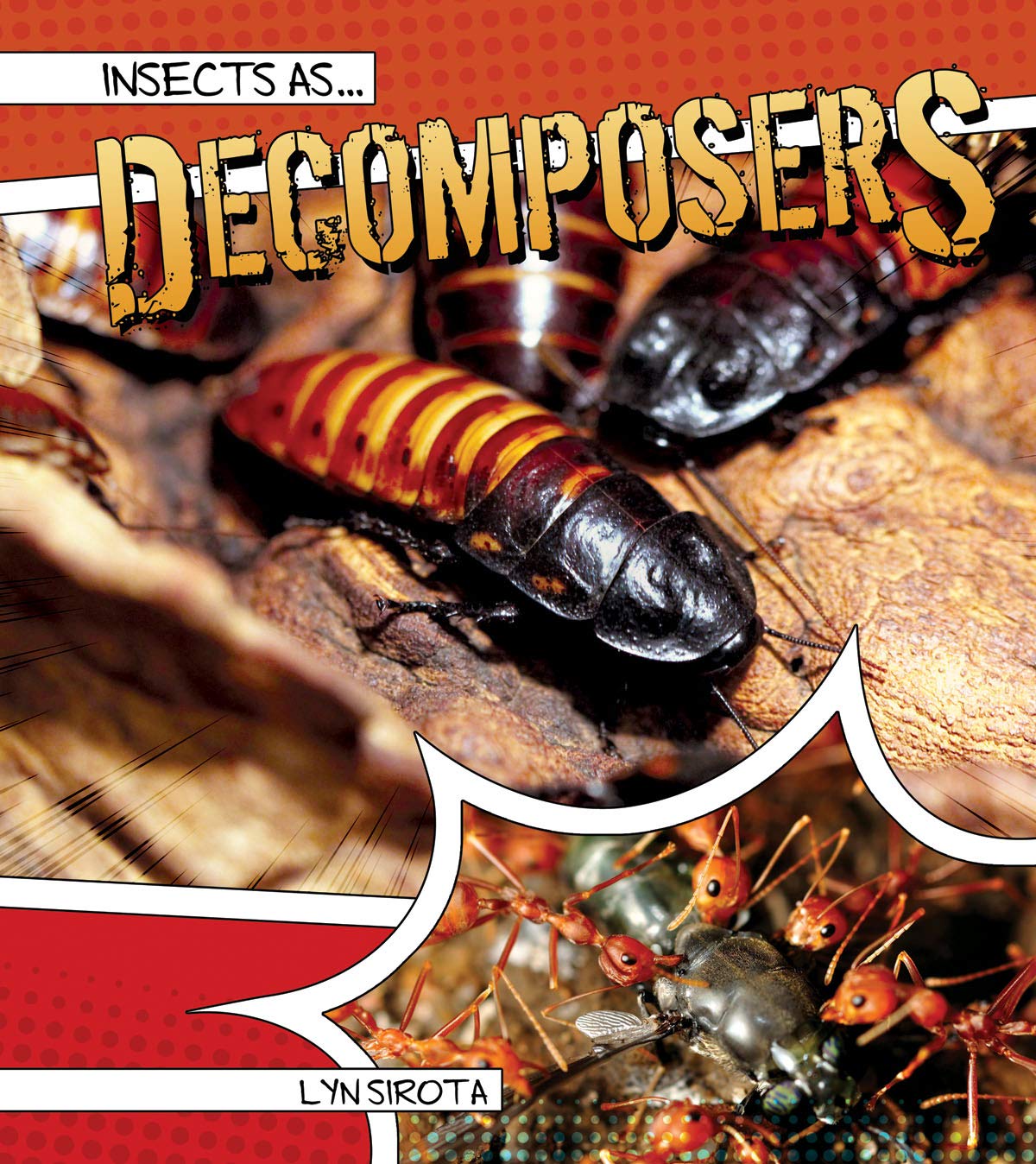 Insects as Decomposers: Sirota, Lyn: 9781681917955: Amazon.com: Books