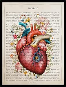 Amazon.com: AgedPixel Heart Anatomy Print, Gift for Cardiologist ...