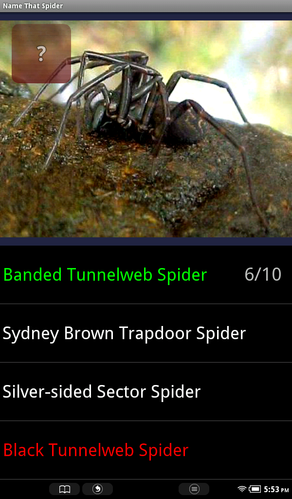 Spider Species Trivia Quiz - App on the Amazon Appstore