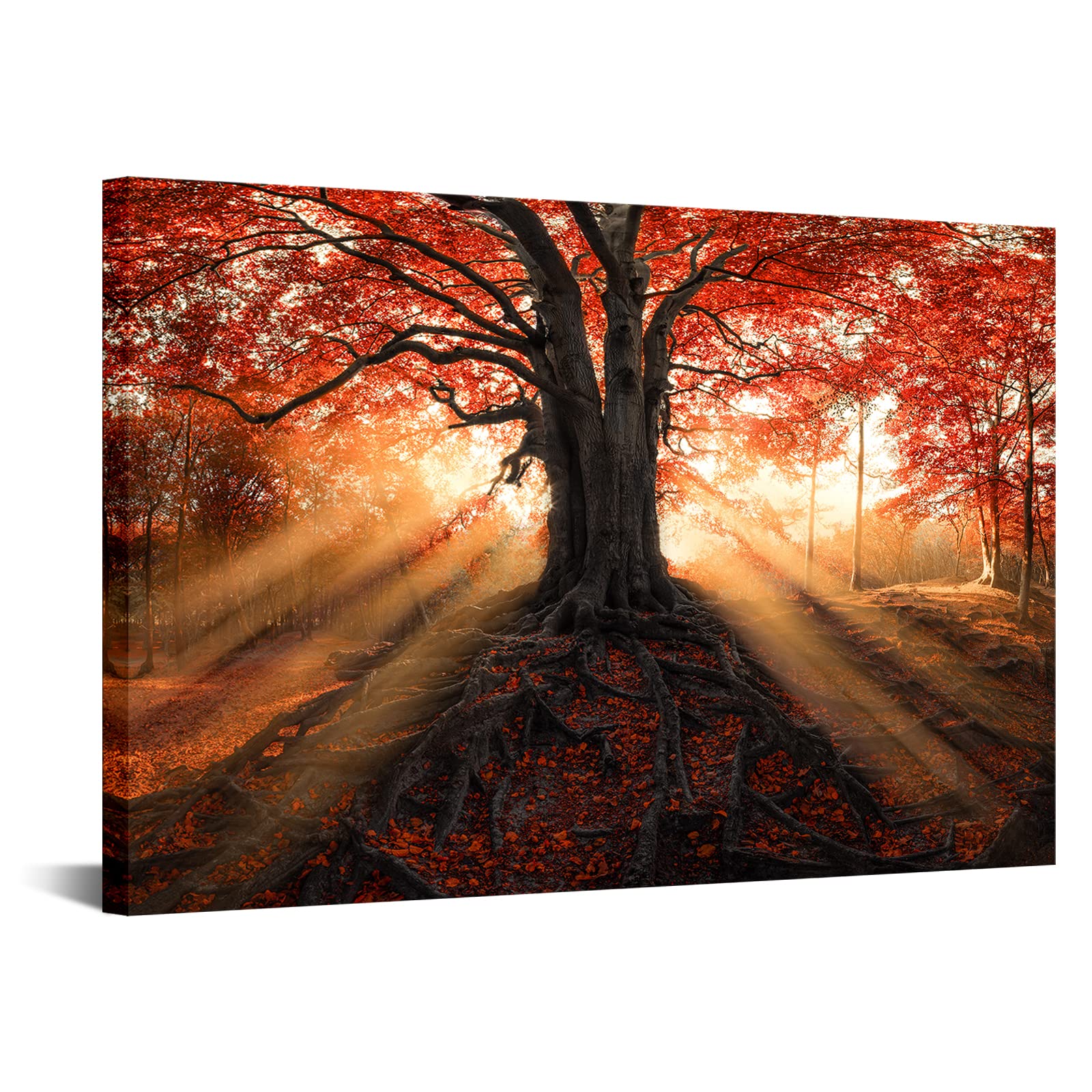 Amazon.com: 24inchx36inch Large Tree Canvas Wall Art Autumn Forest ...