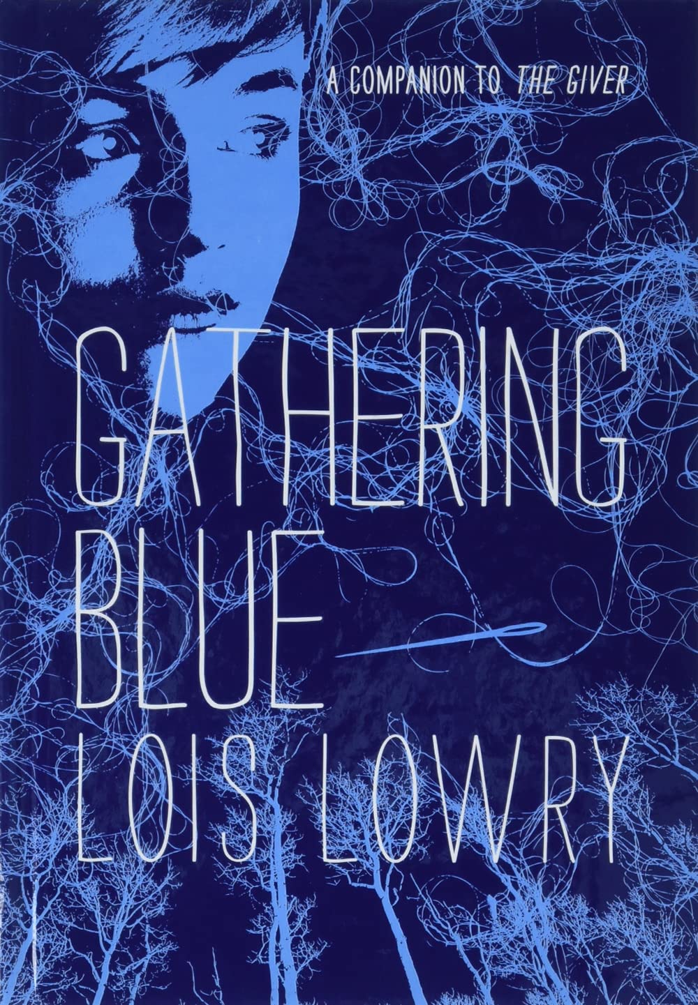 Gathering Blue (for Pob Boxed Set Only) (Giver Quartet) : Lowry, Lois ...