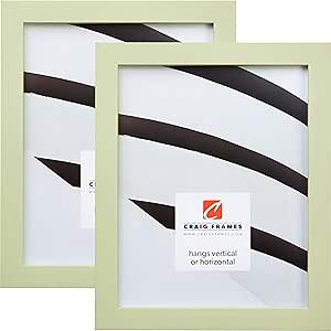 Amazon.com: Craig Frames Confetti, 17 x 22 Inch Picture Frame, Modern ...