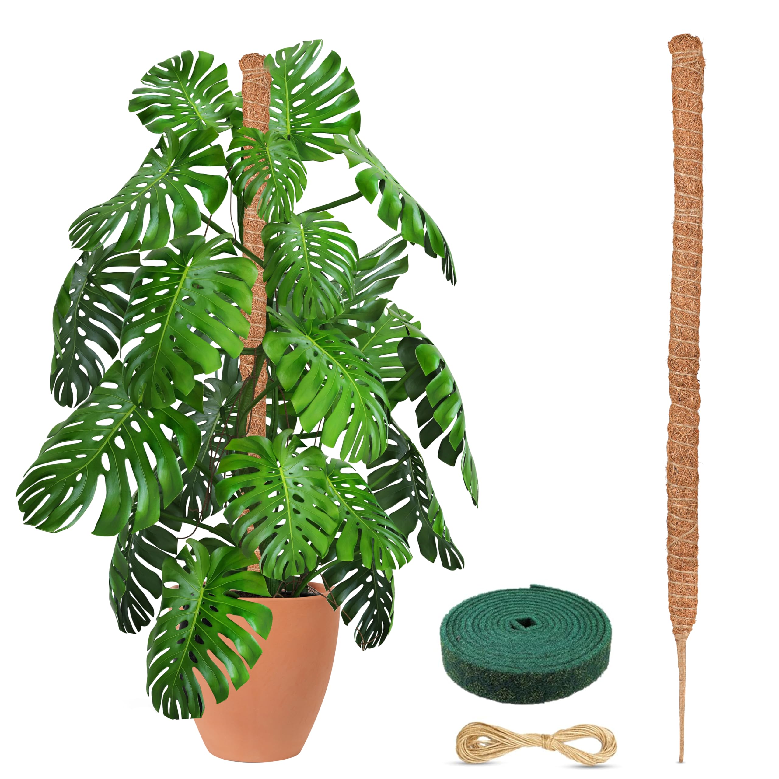 Amazon.com : EcoNour Bendable Moss Pole for Plants – 48 inches ...