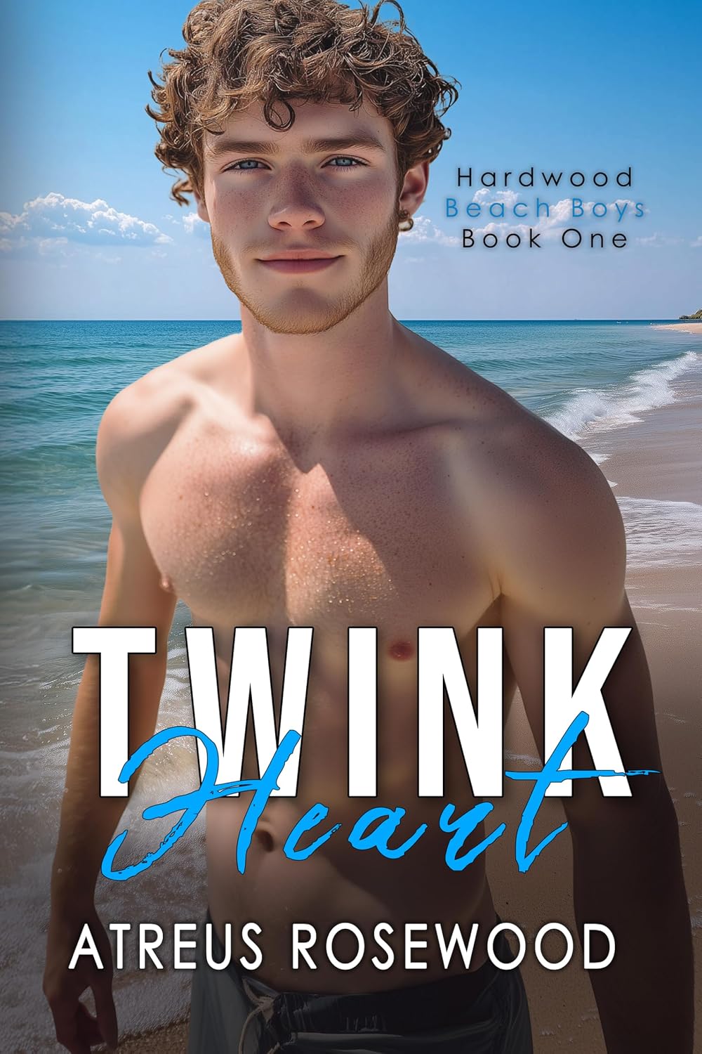Amazon.com: Twink Heart: Gay Contemporary Bisexual Beach Romance ...