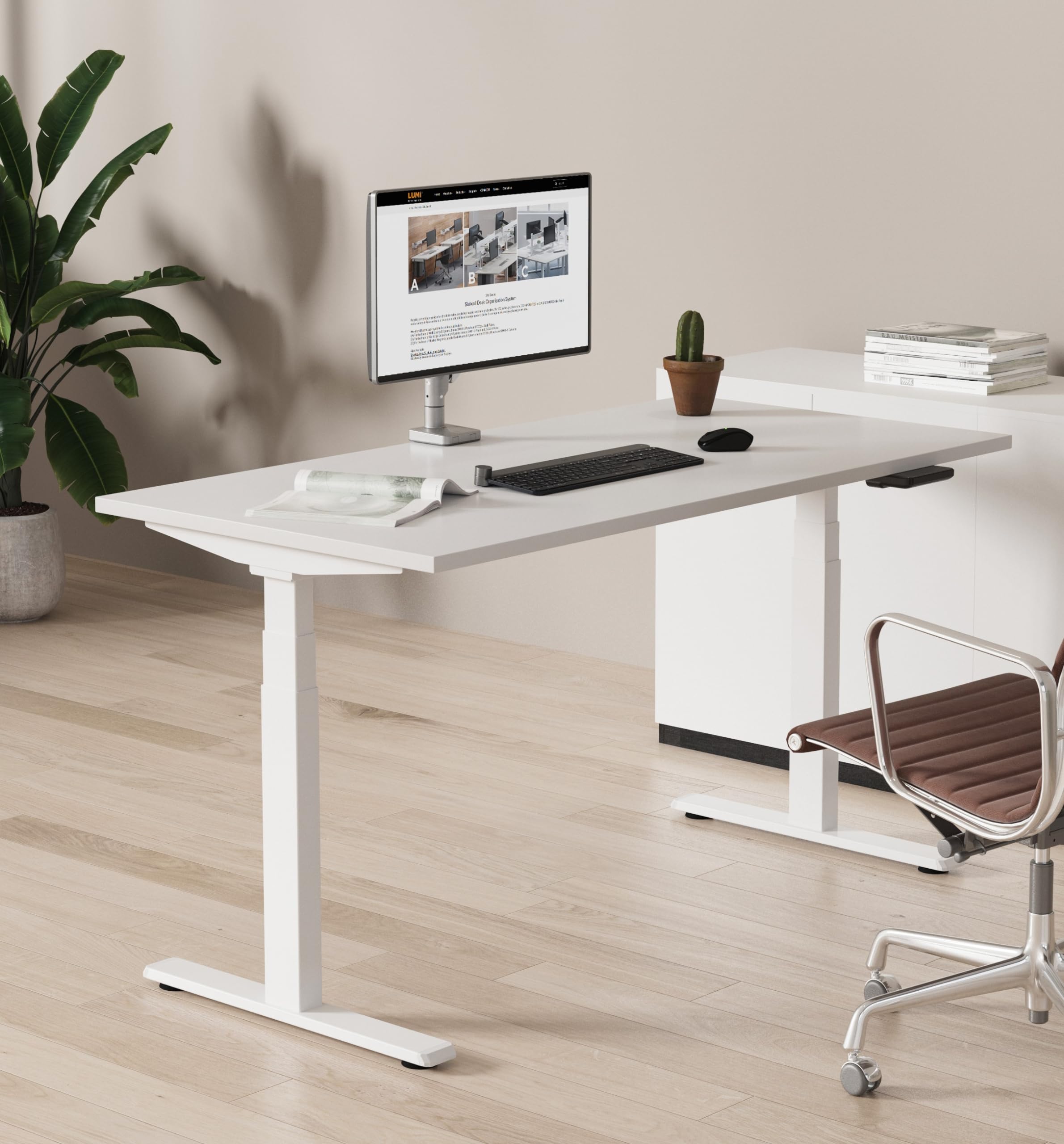 Buy JIN OFFICE Height Adjustable Table Electric | Dual Motor 3-Stage ...