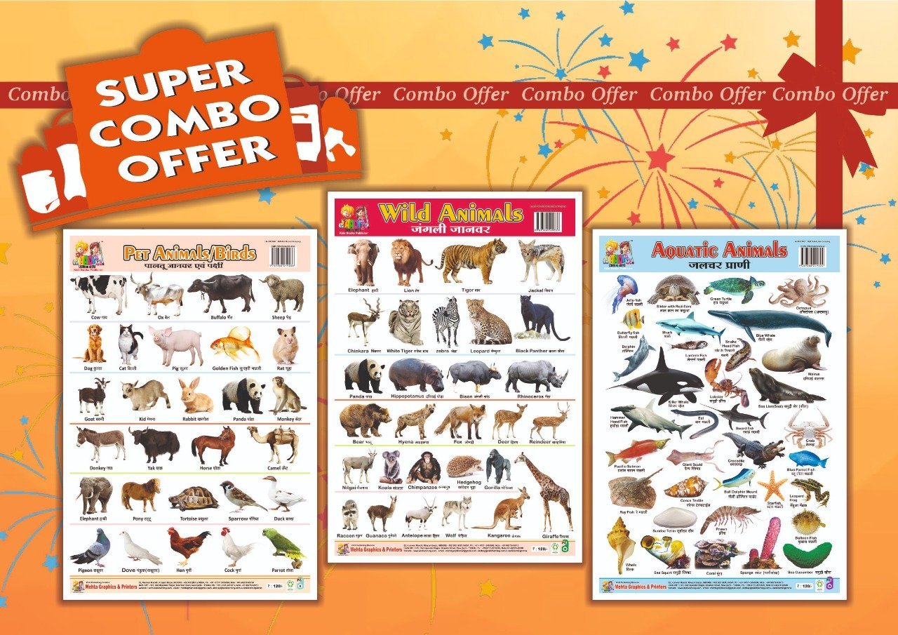 Wall CHARTS PLASTIC NON TEARABLE With Set Of 3 Charts Pet Animals, Wild ...
