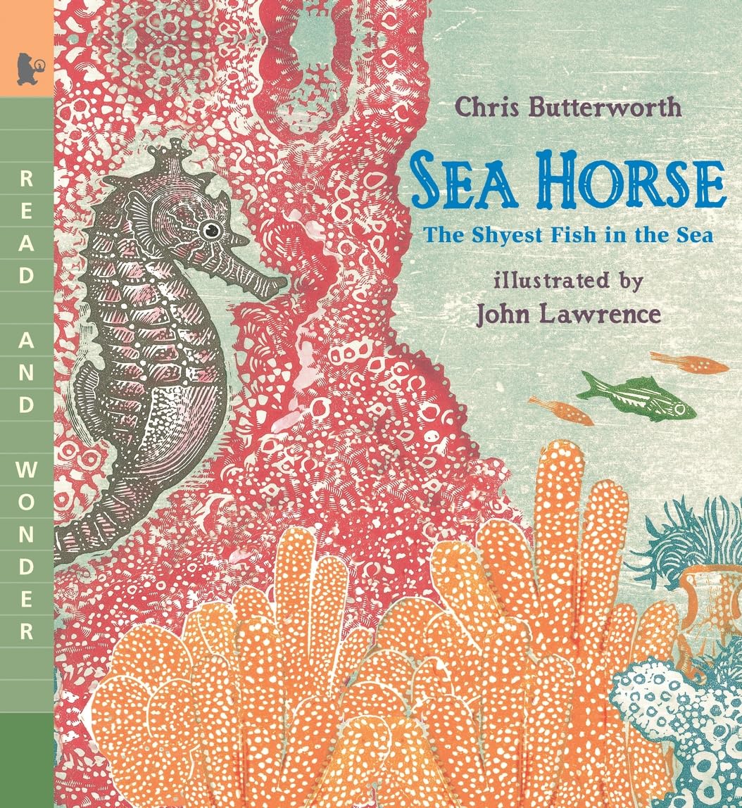 Sea Horse: The Shyest Fish in the Sea (Read and Wonder) - Kindle ...