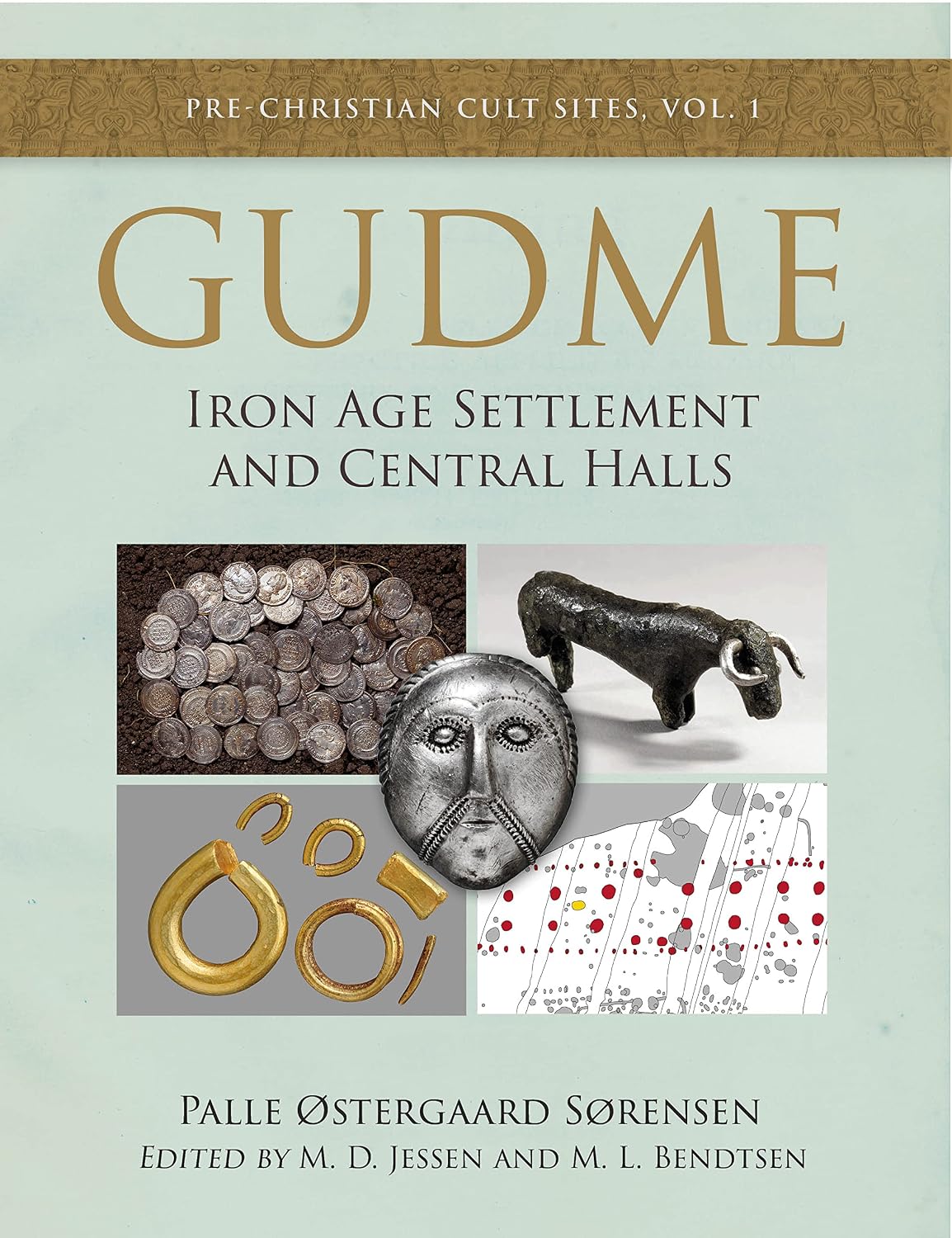 Amazon.com: Gudme: Iron Age Settlement and Central Halls (Pre-Christian ...