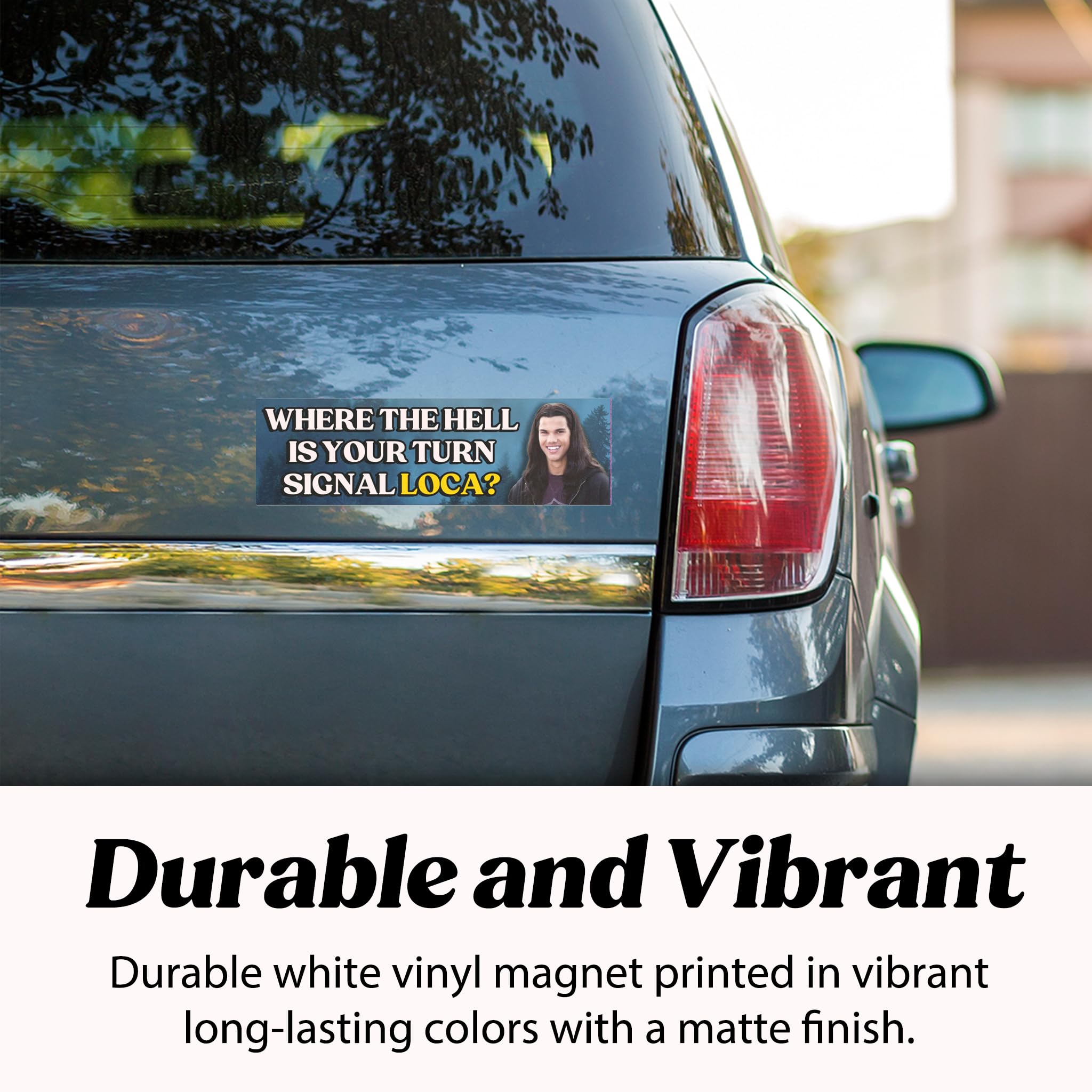 Turn Signal Funny The Best Turn Signal Memes :) Memedroid