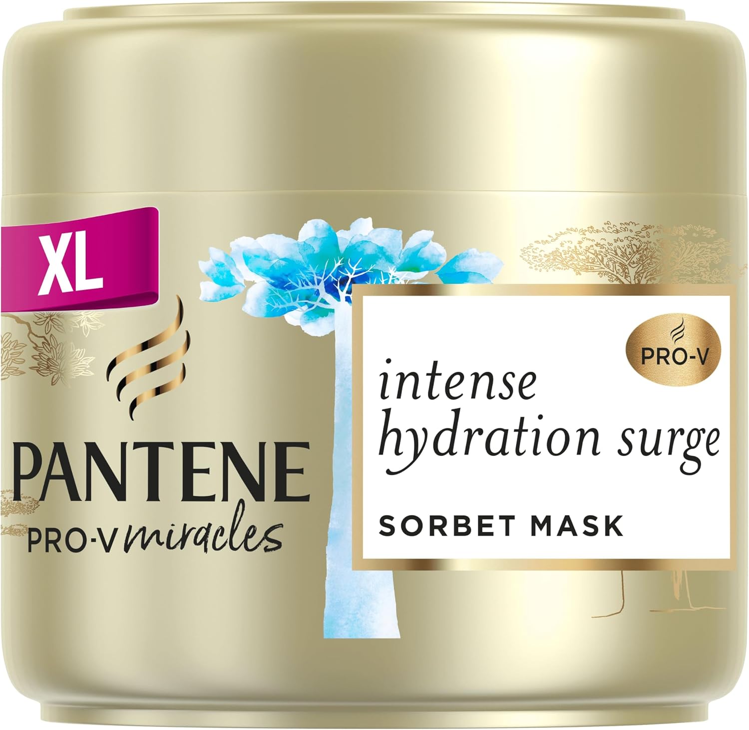 Pantene Hair Mask For Dry Hair, Intense Hydration Surge, Biotin, Baobab ...