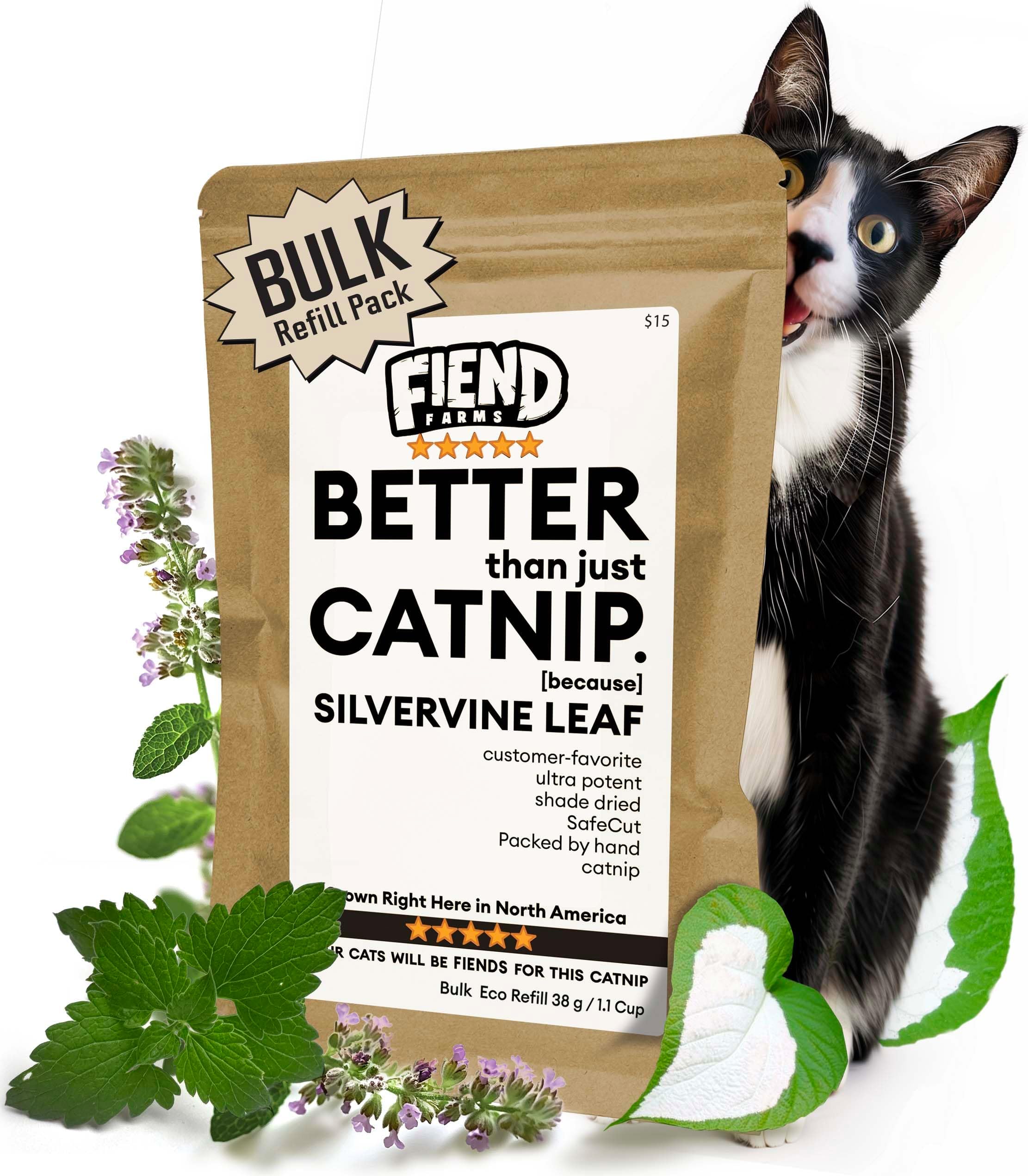 Amazon.com : Fiend Catnip + Silvervine for Cats & Kittens Enhanced with ...