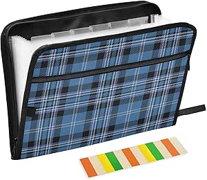 Amazon.com : Blue Black Buffalo Plaid File Folder with Rainbow Labels ...