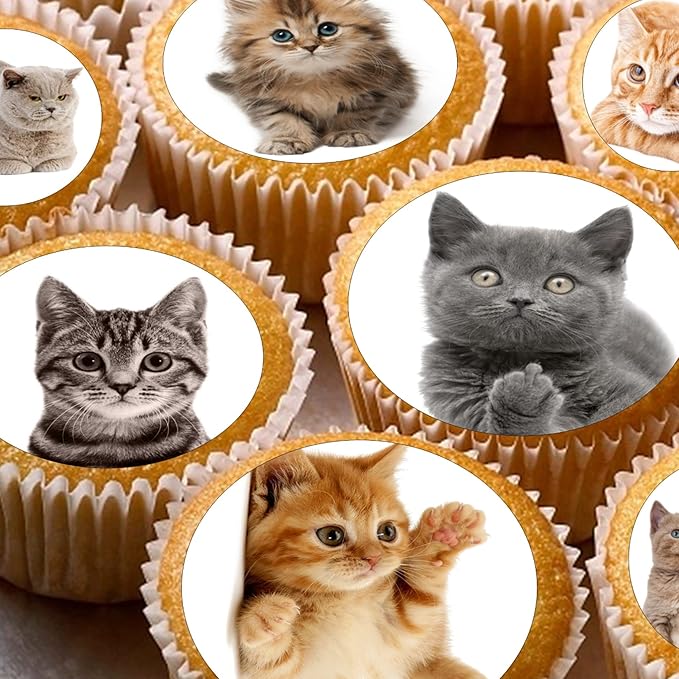 cakes 24 edible cute cats childrens party decorations Iced / Icing ...