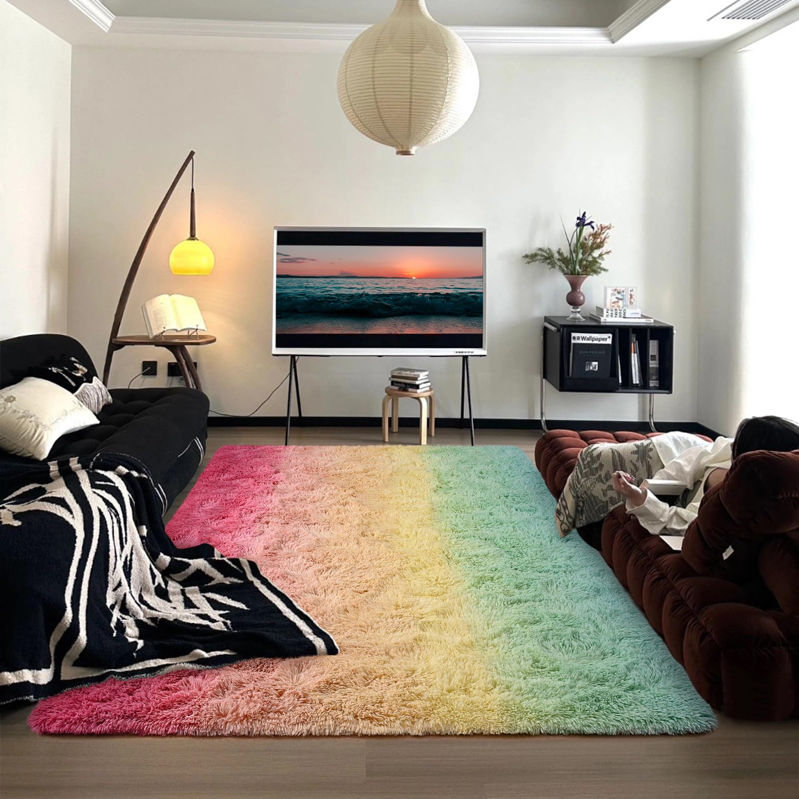 DweIke Shag Area Rug, 5x8 Ft Rainbow Indoor Ultra Soft Plush Carpets for Living Room and Bedroom ...