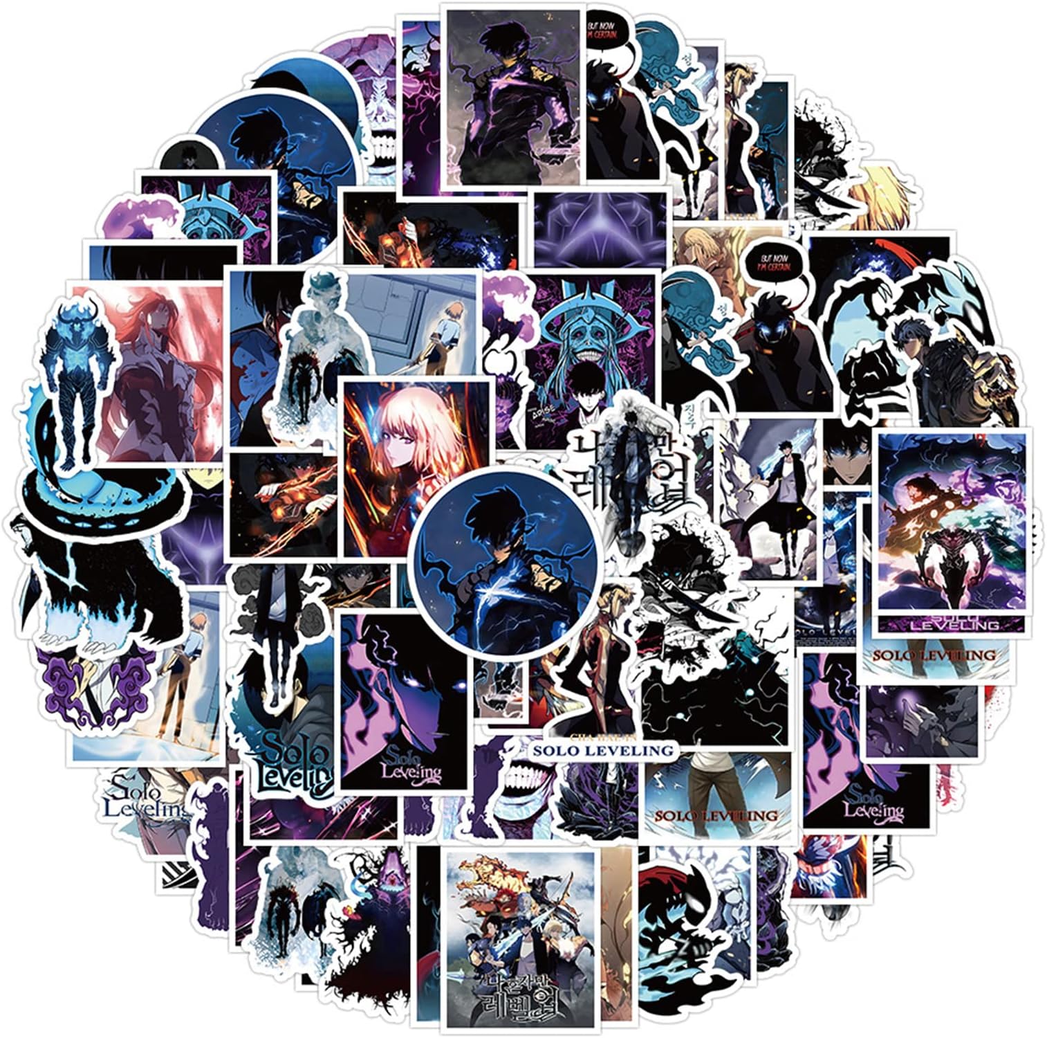 Amazon.com: WeebNation Solo Leveling - Sung Jinwoo - 4pcs Anime Card ...