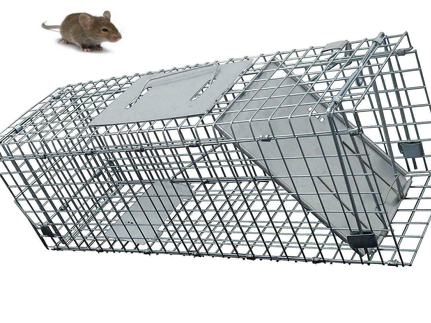 Defenders Rat and Squirrel Cage Trap, Humane Rat Trap Live Mouse Cage ...