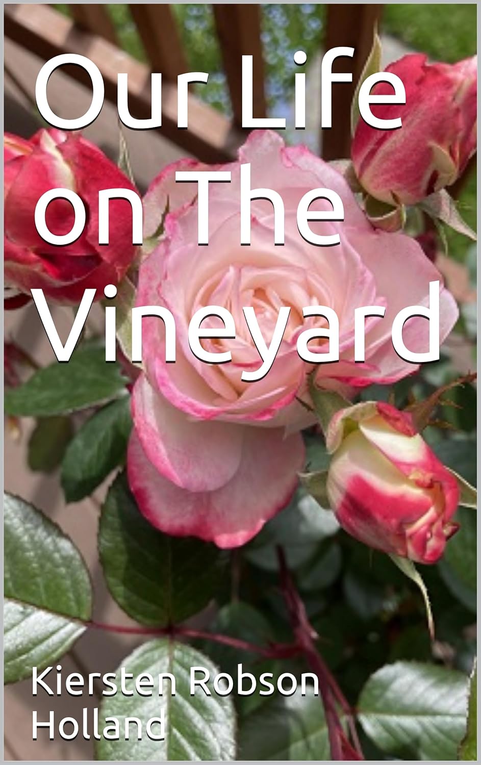 Amazon.com: Our Life on The Vineyard eBook : Robson Holland, Kiersten ...