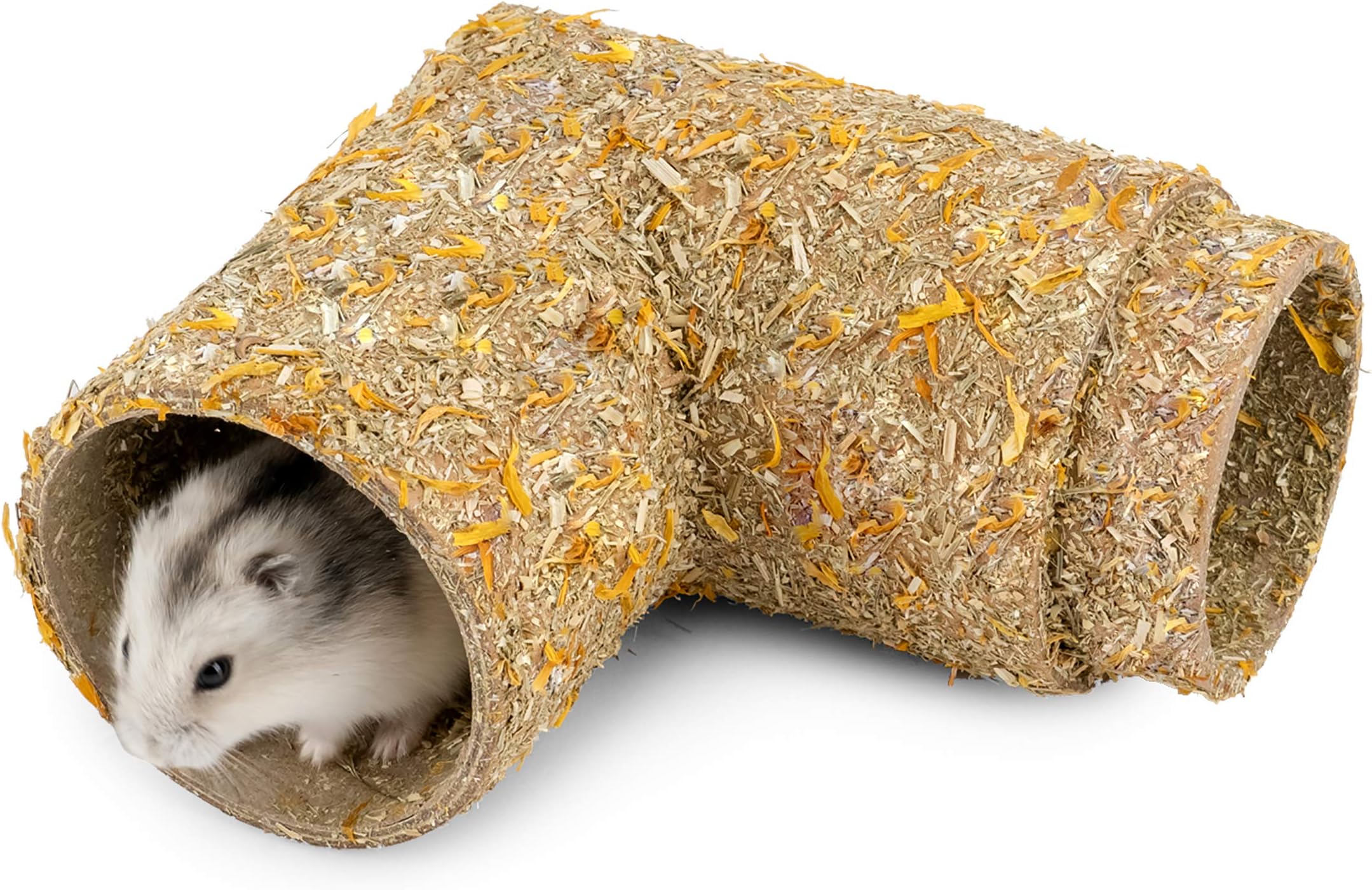 Amazon.com : Hamster Hideout Hamster House, Hamster Hide Hamster Hut ...